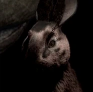 Silverweed | Watership Down Wiki | Fandom