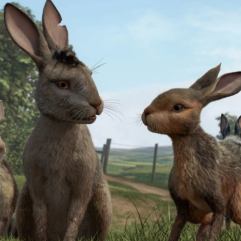 Bigwig and Fiver | Watership Down Wiki | Fandom