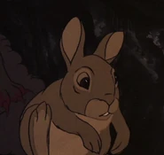 Pipkin | Watership Down Wiki | Fandom