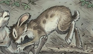 Bigwig | Watership Down Wiki | Fandom