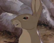 Hazel | Watership Down Wiki | Fandom