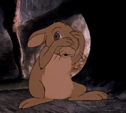 Fiver | Watership Down Wiki | Fandom