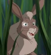 Bigwig/Image Gallery | Watership Down Wiki | Fandom