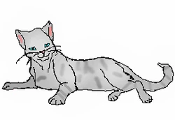 Warrior Cats Silverstream Kitting