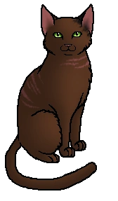 Antpelt | Warriors theory Wiki | Fandom