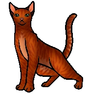 If Firestar didn't exist. | Warriors theory Wiki | Fandom