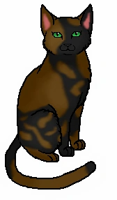Tawnypelt | Warriors theory Wiki | Fandom
