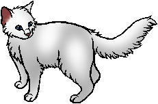 Cloudtail | Warriors theory Wiki | Fandom