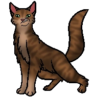 Crookedstar | Warriors theory Wiki | Fandom