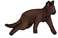 Briarlight | Warriors theory Wiki | Fandom