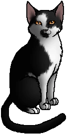 Patchpelt | Warriors theory Wiki | Fandom