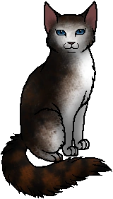 Poppyfrost | Warriors theory Wiki | Fandom