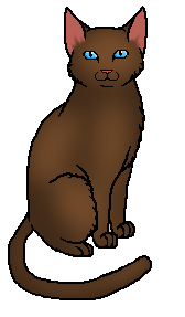 Primrosepaw | Warriors theory Wiki | Fandom