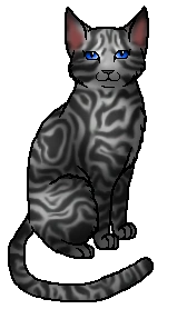 Warrior Cats Silverstream Kitting