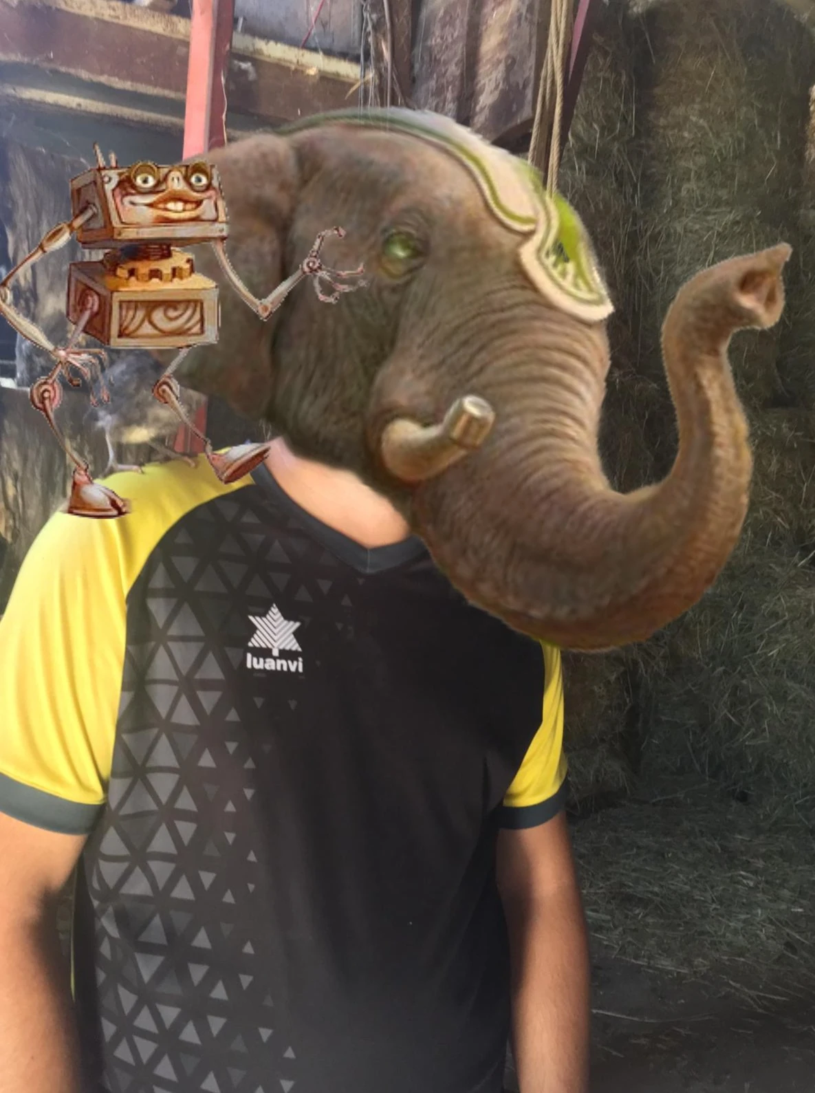 Bayun Healer | Wiki Wa | Fandom