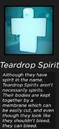 Teardrop Spirit | Wave Defense: Overdrive! Wiki | Fandom