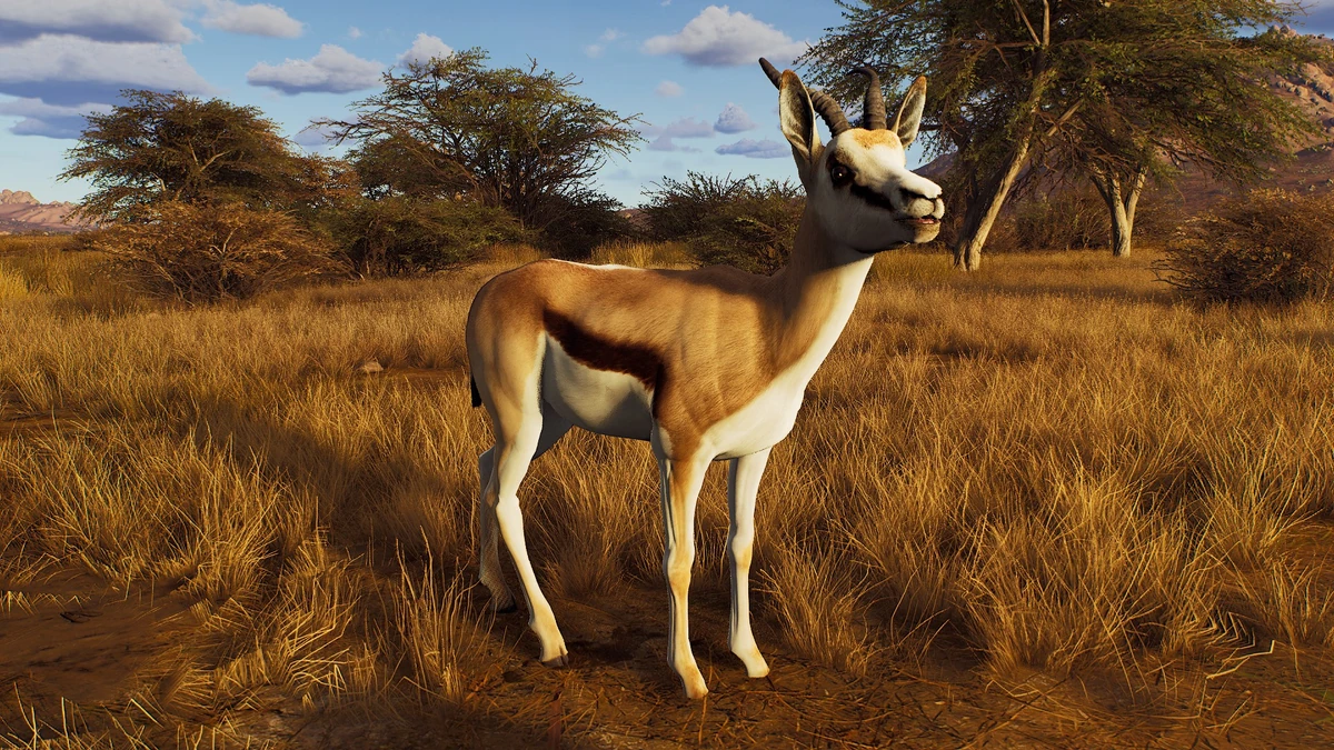 Springbok | Way of the Hunter complete Wiki | Fandom