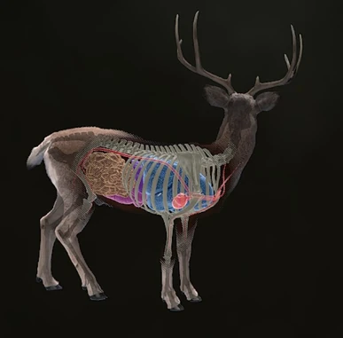 Mule Deer | Way of the Hunter complete Wiki | Fandom