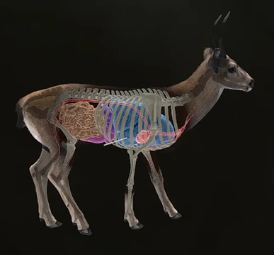 Sitka Deer | Way of the Hunter complete Wiki | Fandom