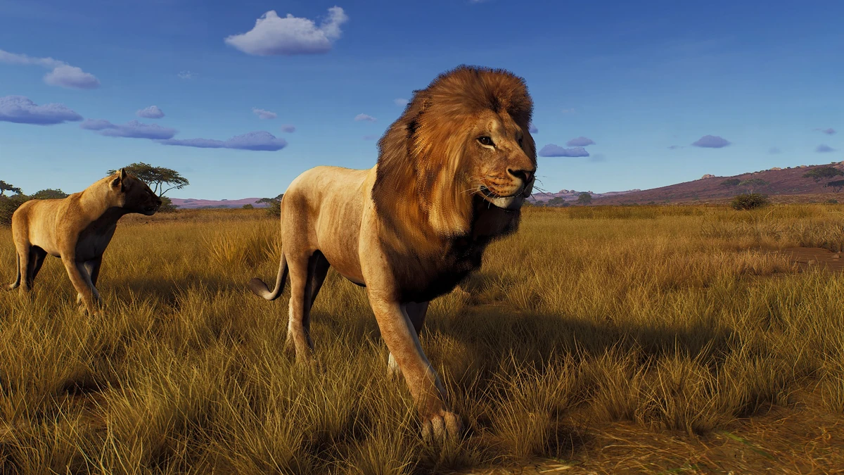 Lion | Way of the Hunter complete Wiki | Fandom