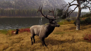 Rocky Mountain Elk | Way of the Hunter complete Wiki | Fandom