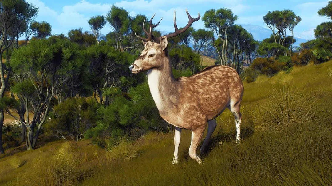 Sika deer | Way Of the Hunter Wiki | Fandom