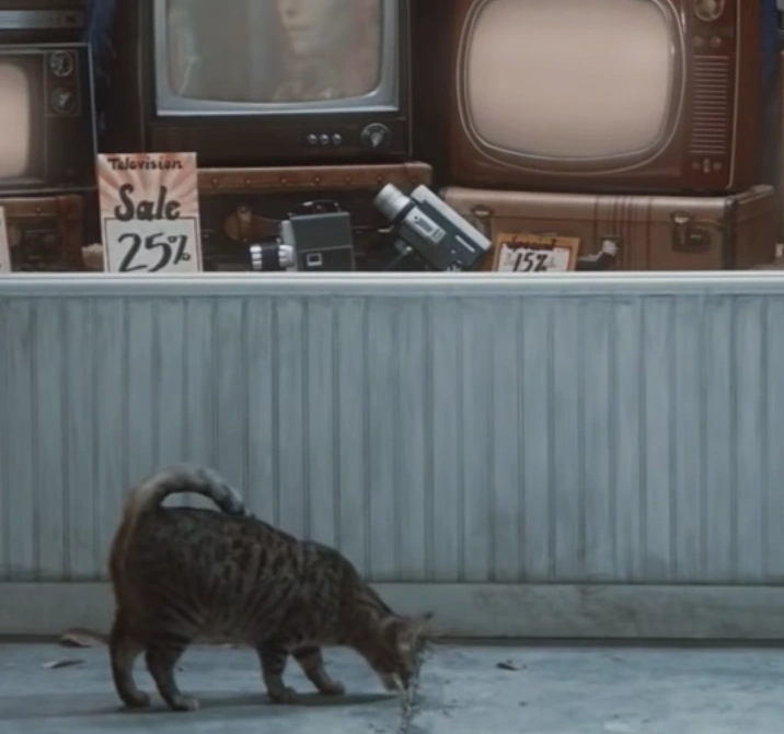 Studio Cat | Way Out There Wiki | Fandom