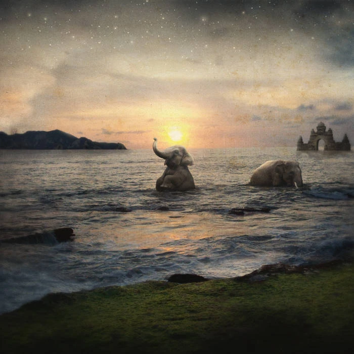 Mighty | Way Out There Wiki | Fandom