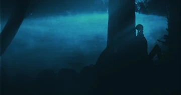 Stranger By The Lake Gif