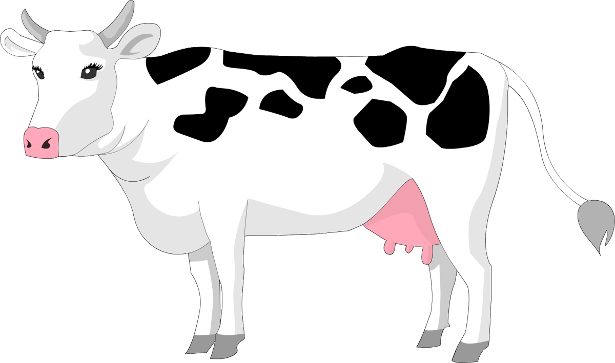 Cows | Wayside School Wiki | Fandom