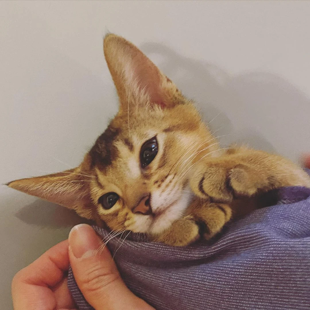 Leon | WayV Wiki | Fandom