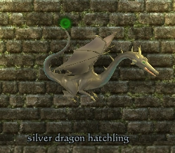 Silver Dragon Hatchling | Wazhack Wiki | Fandom