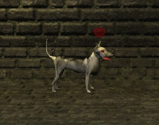 Wolf Pup | Wazhack Wiki | Fandom