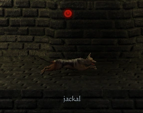 Jackal | Wazhack Wiki | Fandom