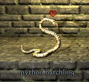 Python Hatchling | Wazhack Wiki | Fandom