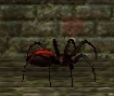 Redback Hatchling | Wazhack Wiki | Fandom