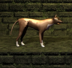 Large Boxer | Wazhack Wiki | Fandom