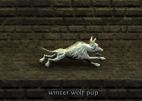 Winter Wolf Pup | Wazhack Wiki | Fandom