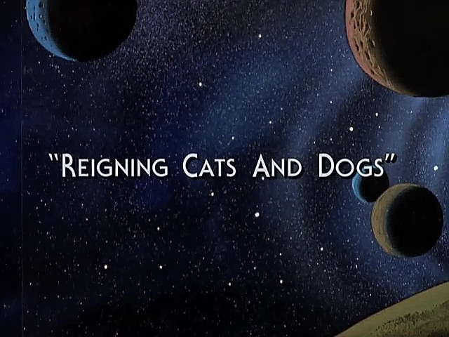 Reigning Cats and Dogs | WB Animated Universe Wiki | Fandom