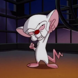 Pinky And The Brain Cartoon Characters