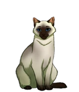 Cats | Warrior Cats From the Ground Up Wiki | Fandom