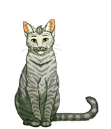 Cats | Warrior Cats From the Ground Up Wiki | Fandom
