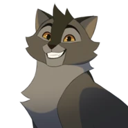 Graypaw | WCAnimated Wiki | Fandom