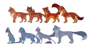 Firepaw | WCAnimated Wiki | Fandom