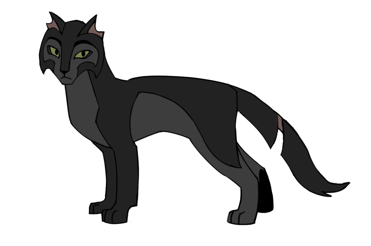 Nightpelt | WCAnimated Wiki | Fandom
