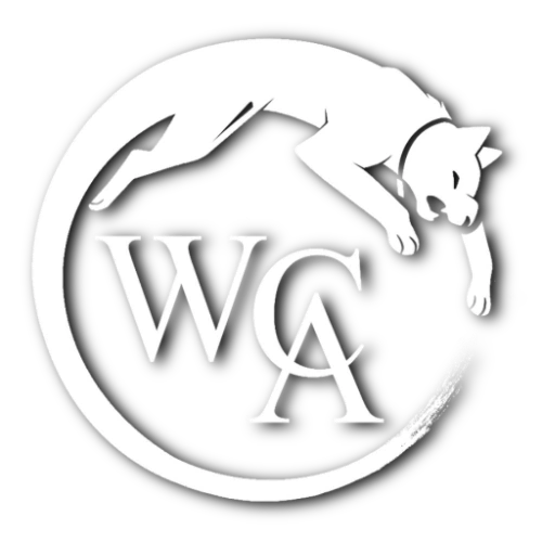WCAnimated Wiki | Fandom