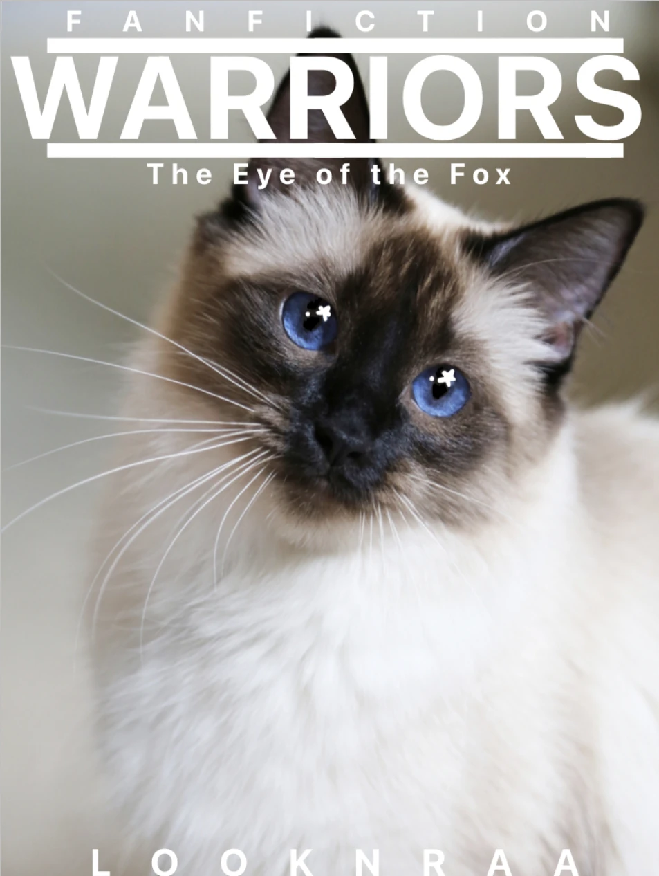 Mudpaw | WCF: Official Wiki | Fandom