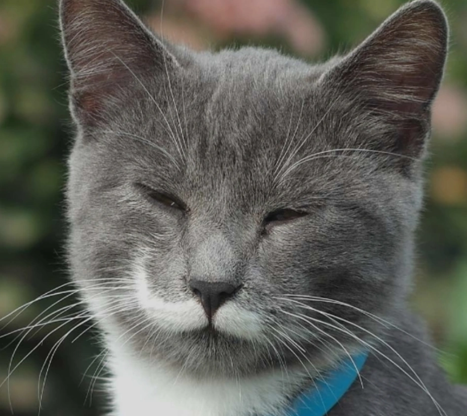 TIPS AND TRICKS | WCUE: Debugs and Testers Wiki | Fandom