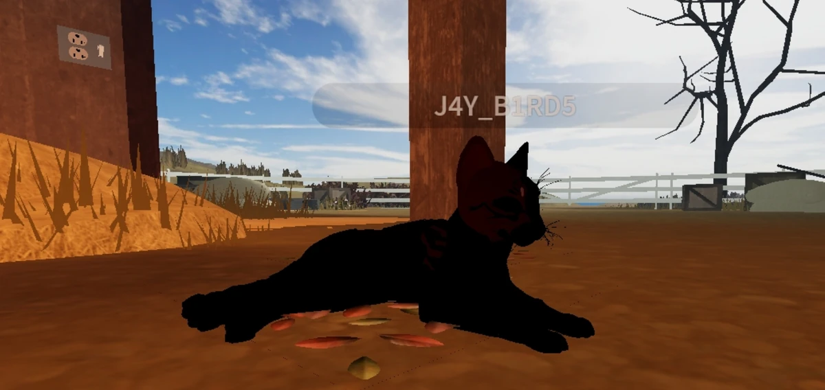 Seeker | WCUE: Debugs and Testers Wiki | Fandom