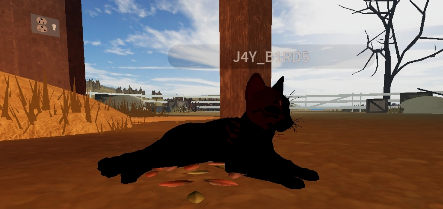 Discuss Everything About WCUE: Debugs and Testers Wiki | Fandom